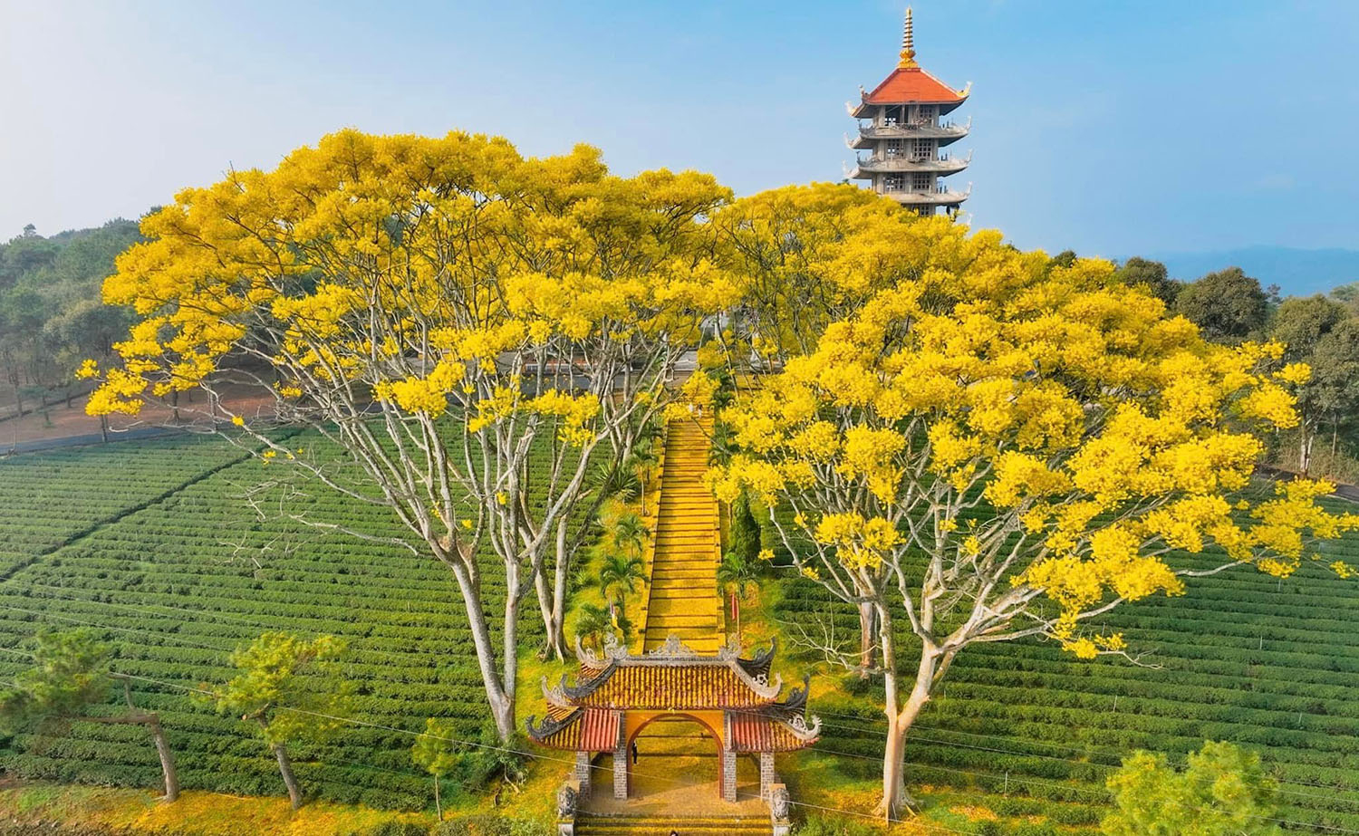 Khám phá Bảo Lộc - Top 5 địa điểm du lịch tại Bảo Lộc